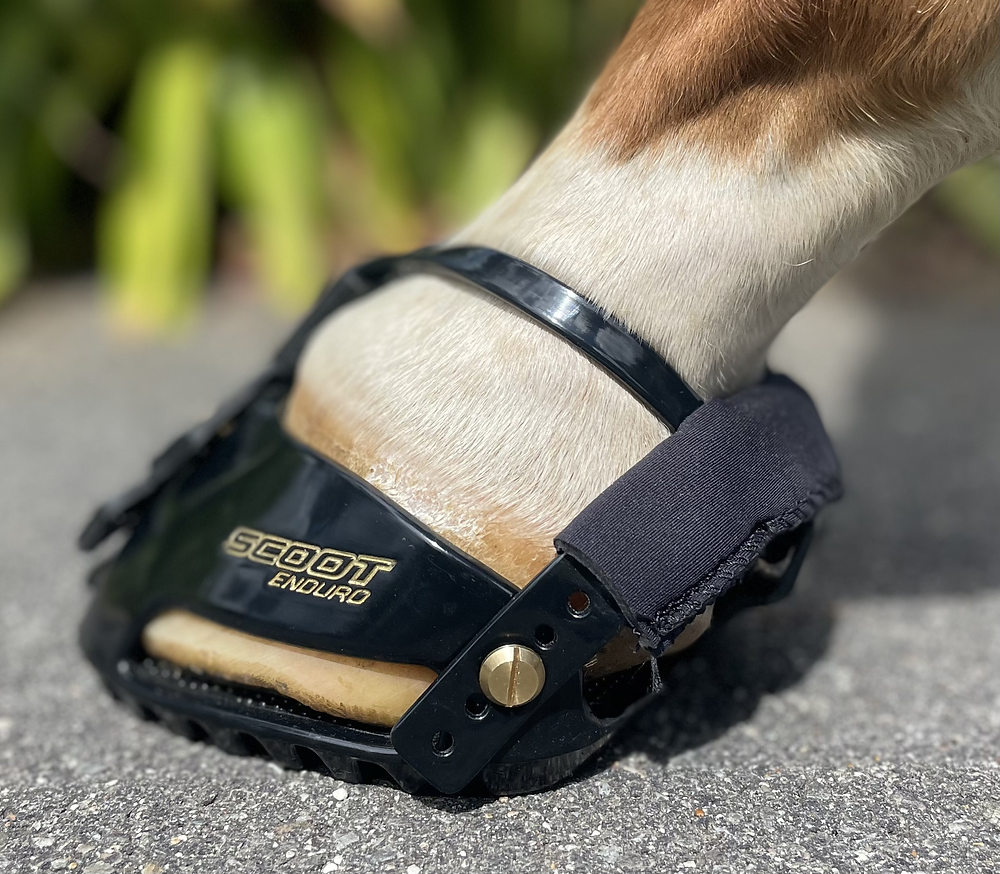 Enduro Mud Strap sizes