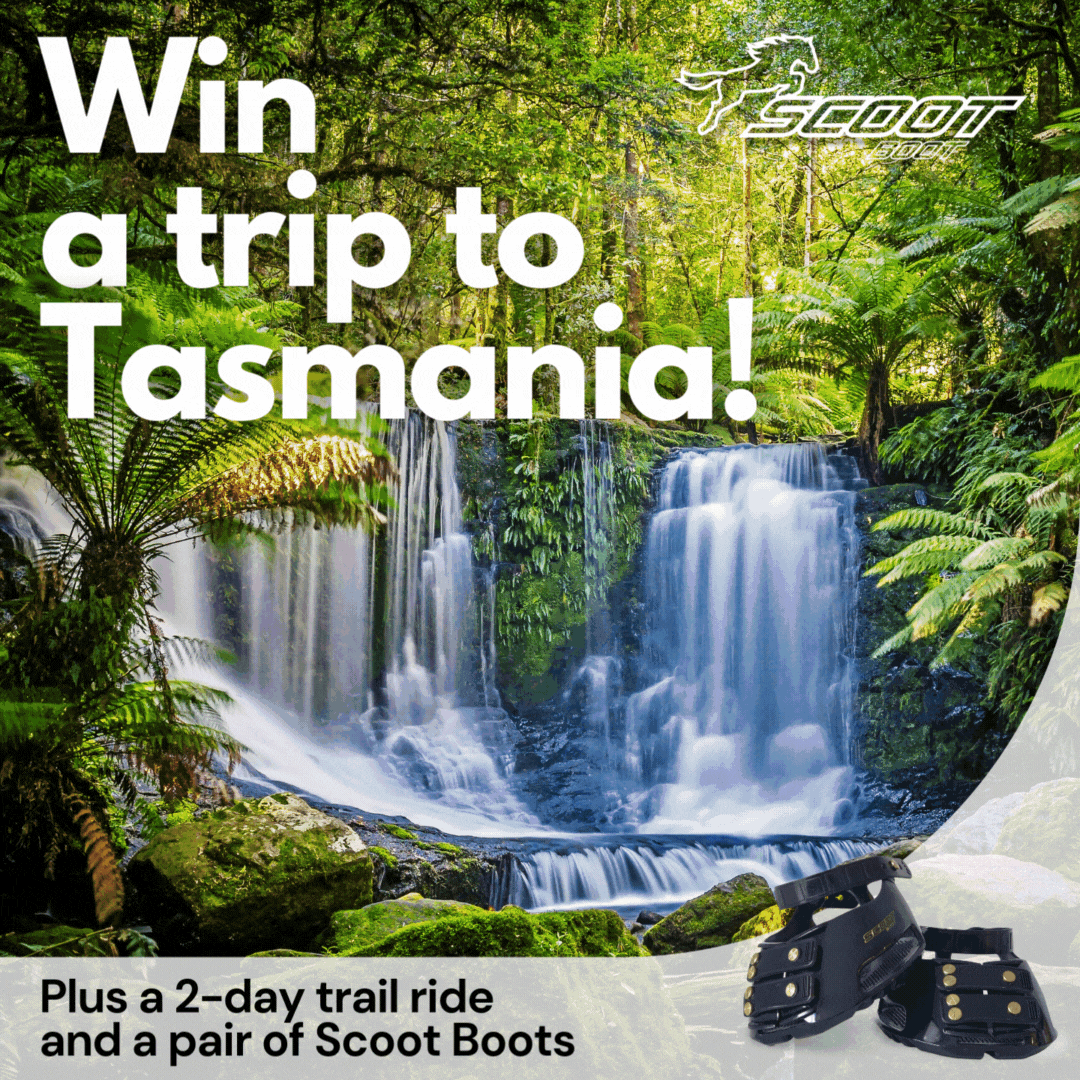 Scoot Boot Freedom Competition