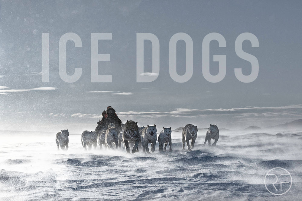 ICE DOGS