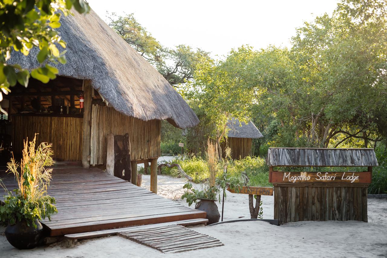 Mogothlo Lodge Khwai region