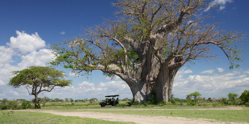 LAKES, BAOBABS & ISLANDS 9 nts | Safari Company