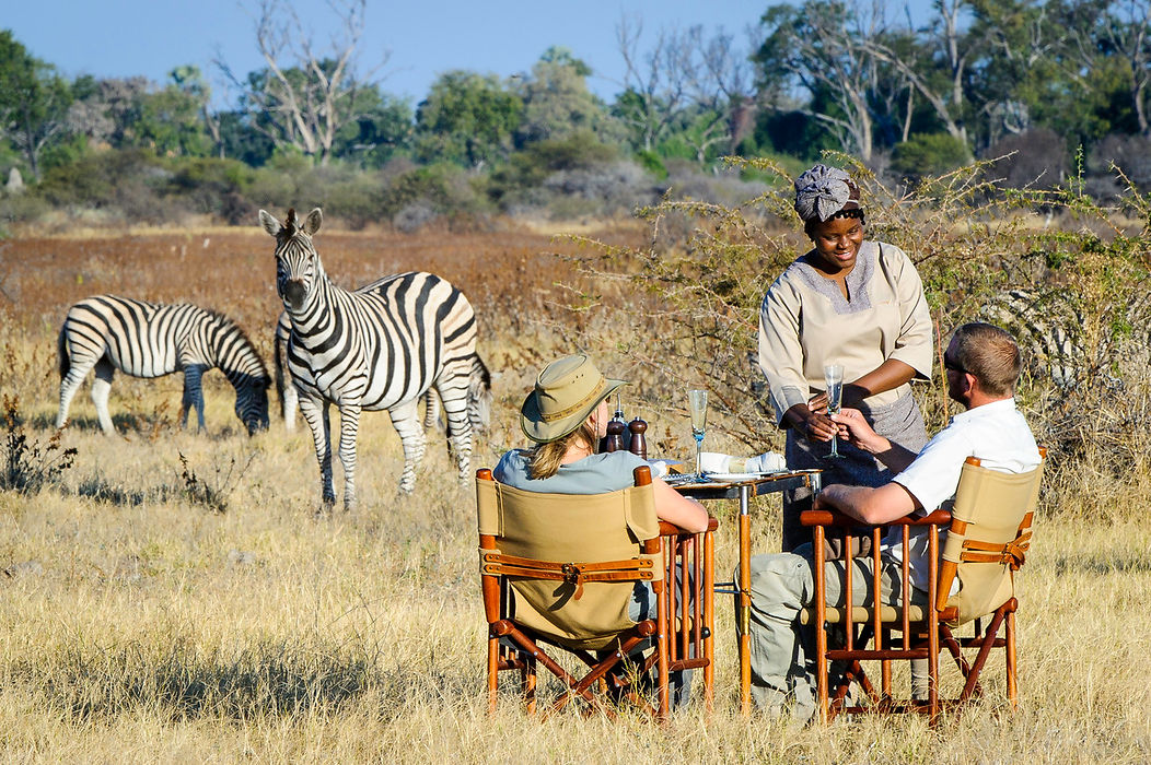 The best Botswana safaris