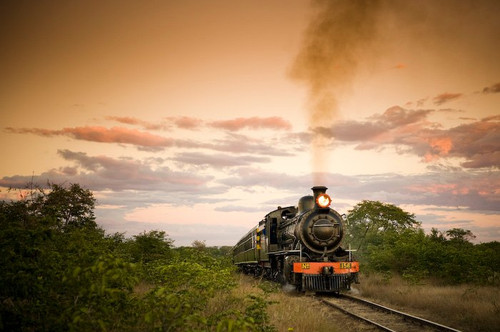 STEAM TRAIN DINNER | Safari Company