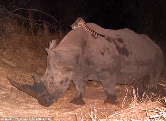 Having fun with a TRAIL CAM