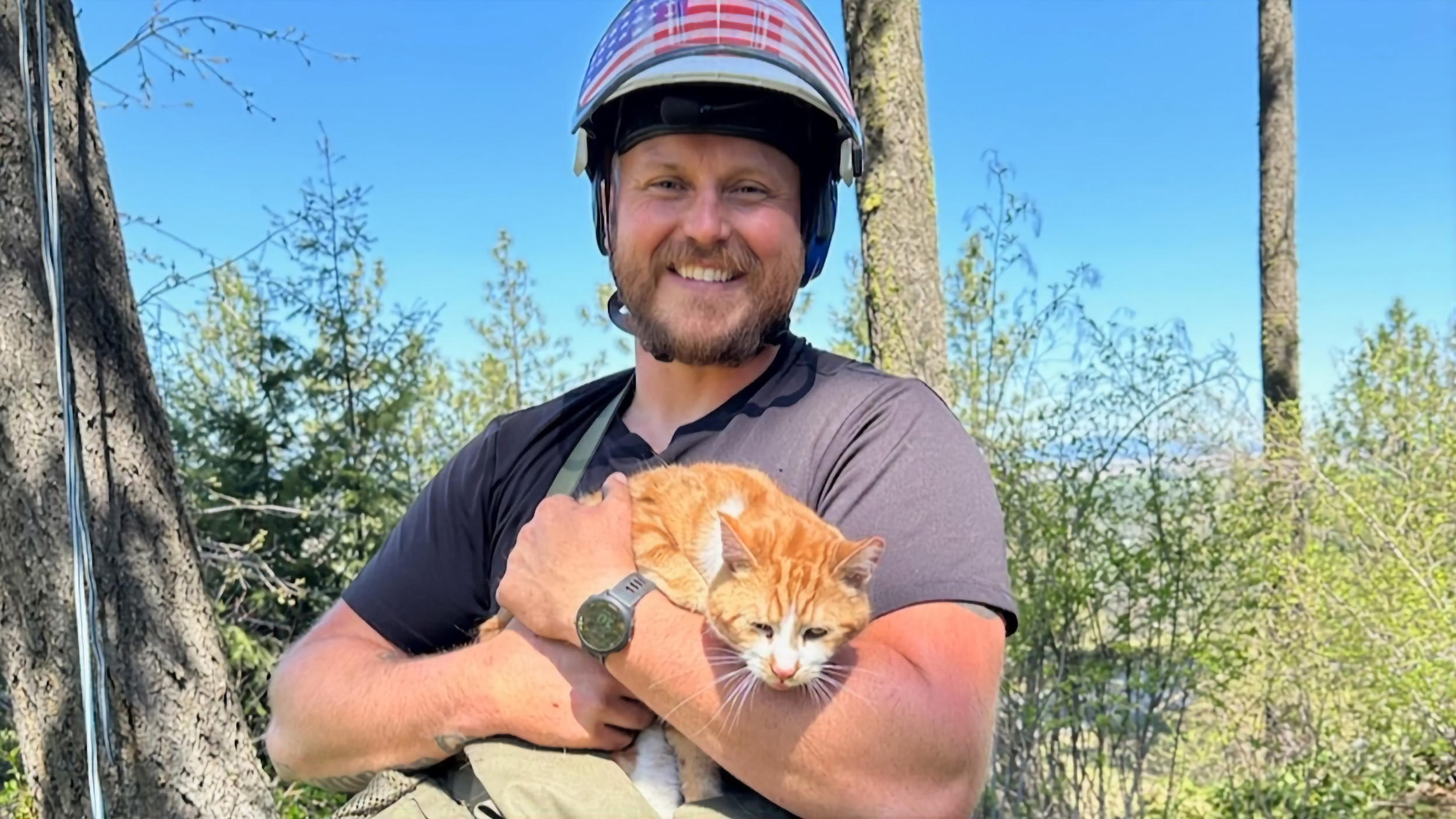 Nicholas To The Rescue: Climbing Cats and Caring For Trees