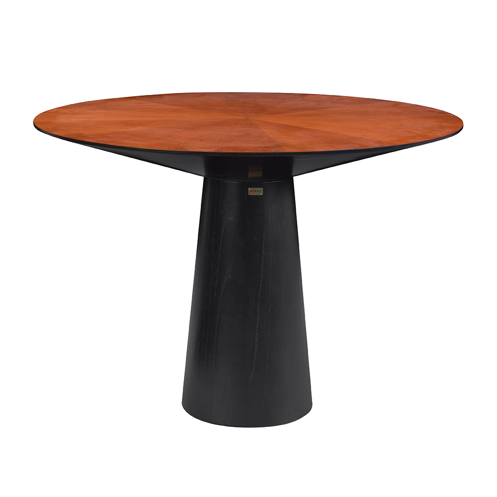 MESA DE APOIO CONA, 23350