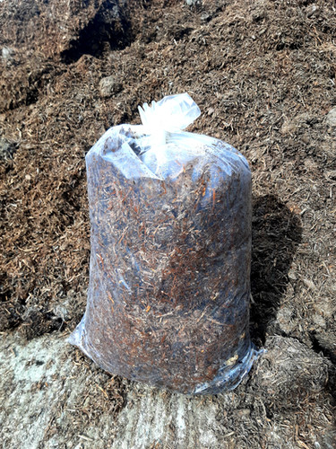Mushroom Compost Small Bag | Bradshaws Farm Shop