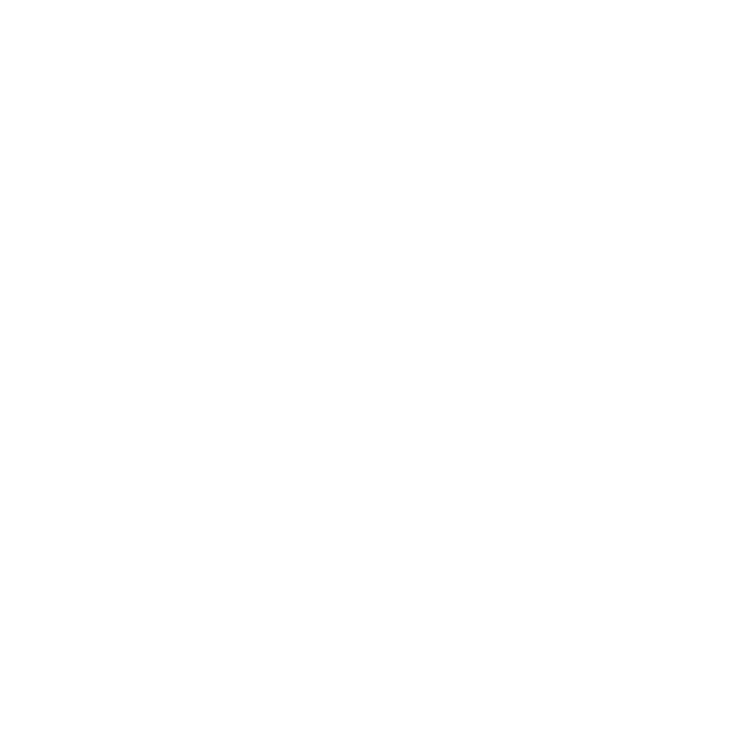 WEBINAR ENVI | Profundizando sus secretos, maximizando su potencial