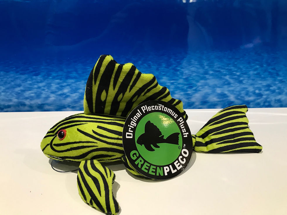 Greenpleco royal pleco plushie | fishtopia