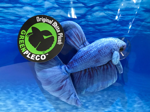 Greenpleco betta plushie | fishtopia