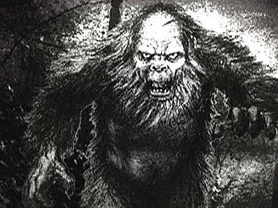 “YOWIES INVADE the GOLD COAST!” A true story?