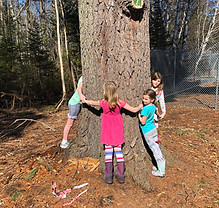 Non-Profit | Happy Dancing Turtle | United States