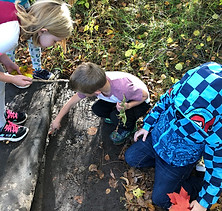 Programs | Happy Dancing Turtle