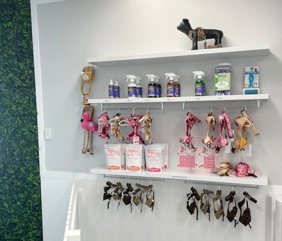 OUR SERVICES | Poochini Pet Spa