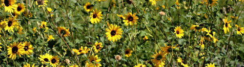 All Products | KidBrothers