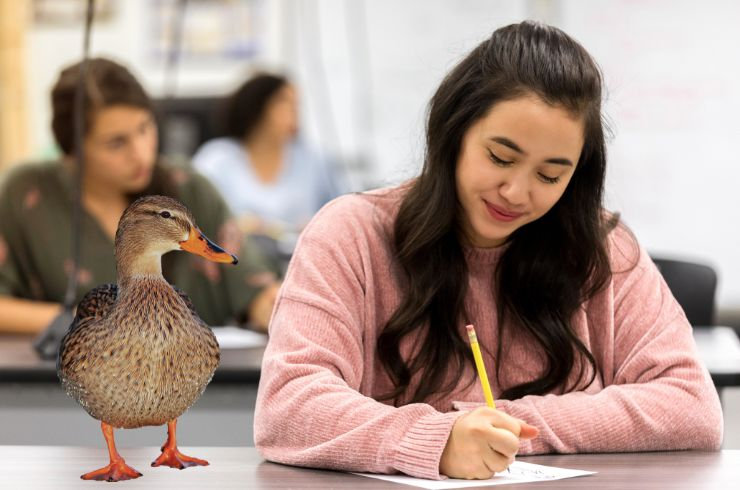 Strategies for How to Answer Multiple Choice Questions