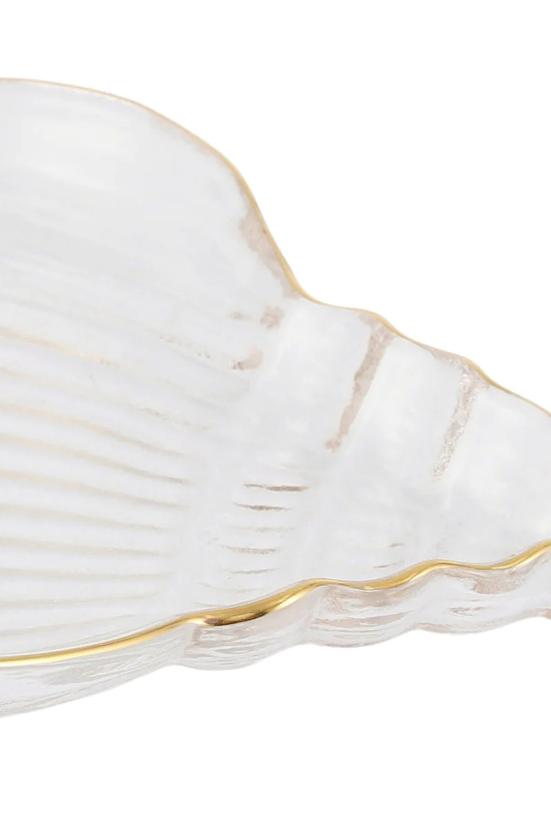 GLASS CONCH SHELL DISH | 34degrees