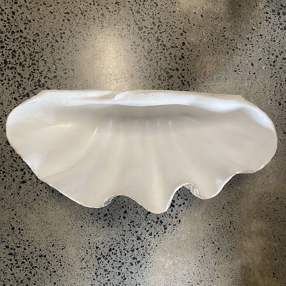 Clam Shelf 80cm | 34degrees