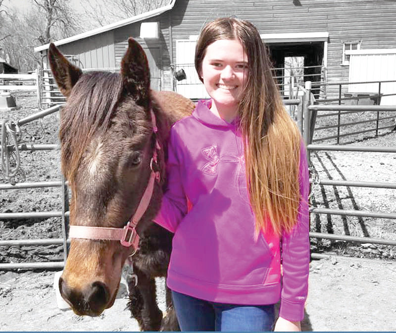 Tea student participates in summer horse training program