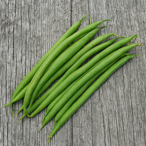 Dwarf French Bean Faraday | Hampshire Seed Company