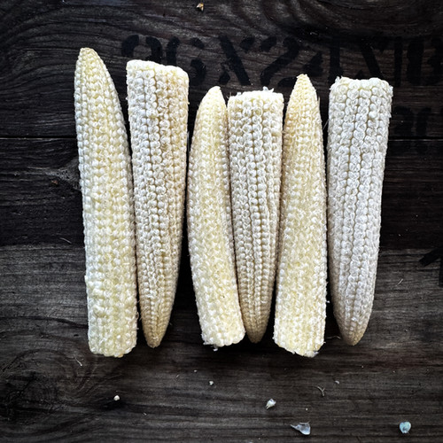 Sweetcorn Mini Pop | Hampshire Seed Company