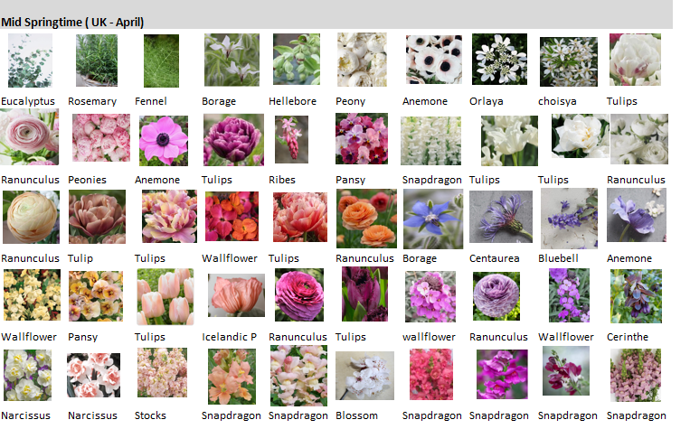 Seasonal Flower Guide | Hampshire Seed Compa