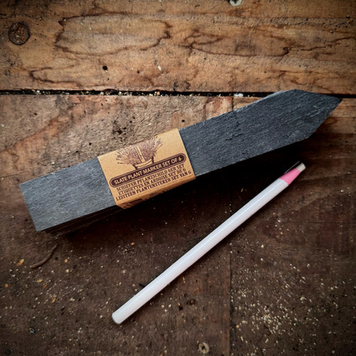 Slate Plant Markers - Set of 6 | Hampshire Seed Company
