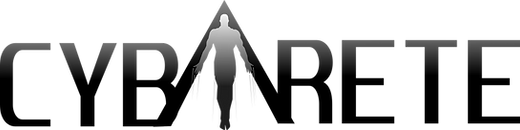 Cybarete | Systems Integration