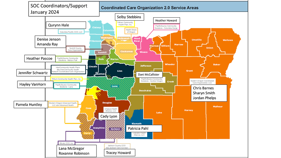 Systems of Care | GOBHI