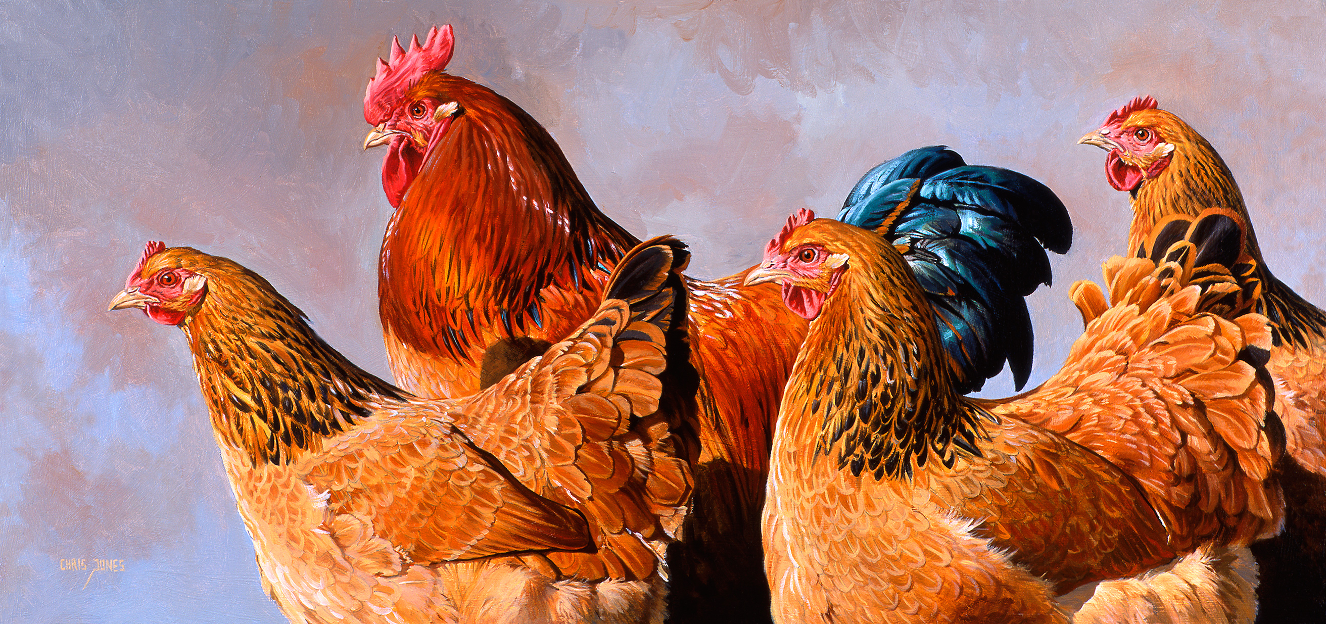 Chris Jones - Poultry & Wildlife Artist