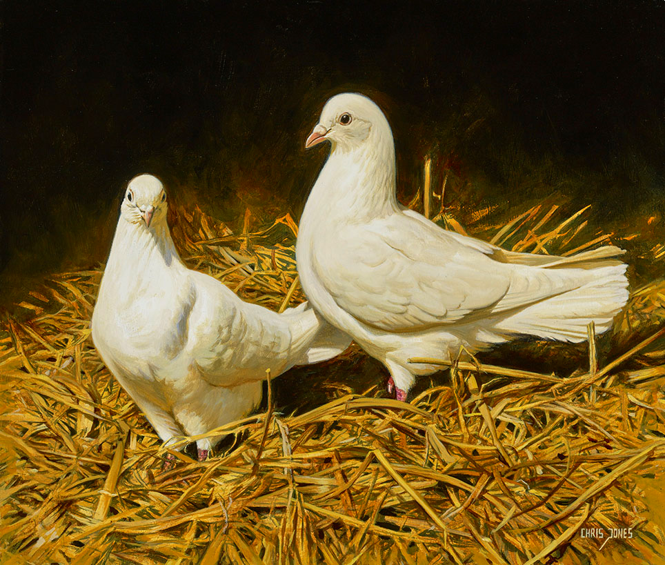 Chris Jones - Poultry & Wildlife Artist