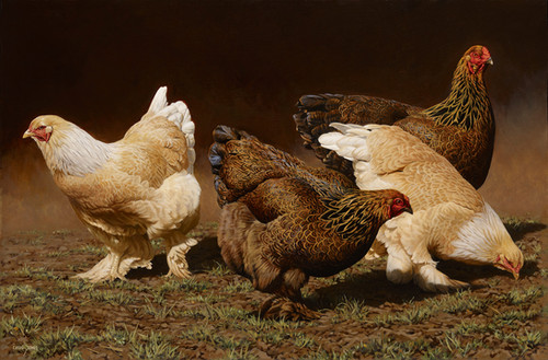 Lemon & Partridge Brahmas | chrisjonesart