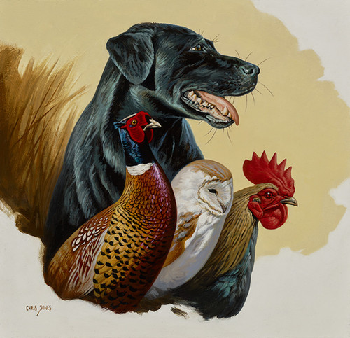 A Countryside Collective | chrisjonesart