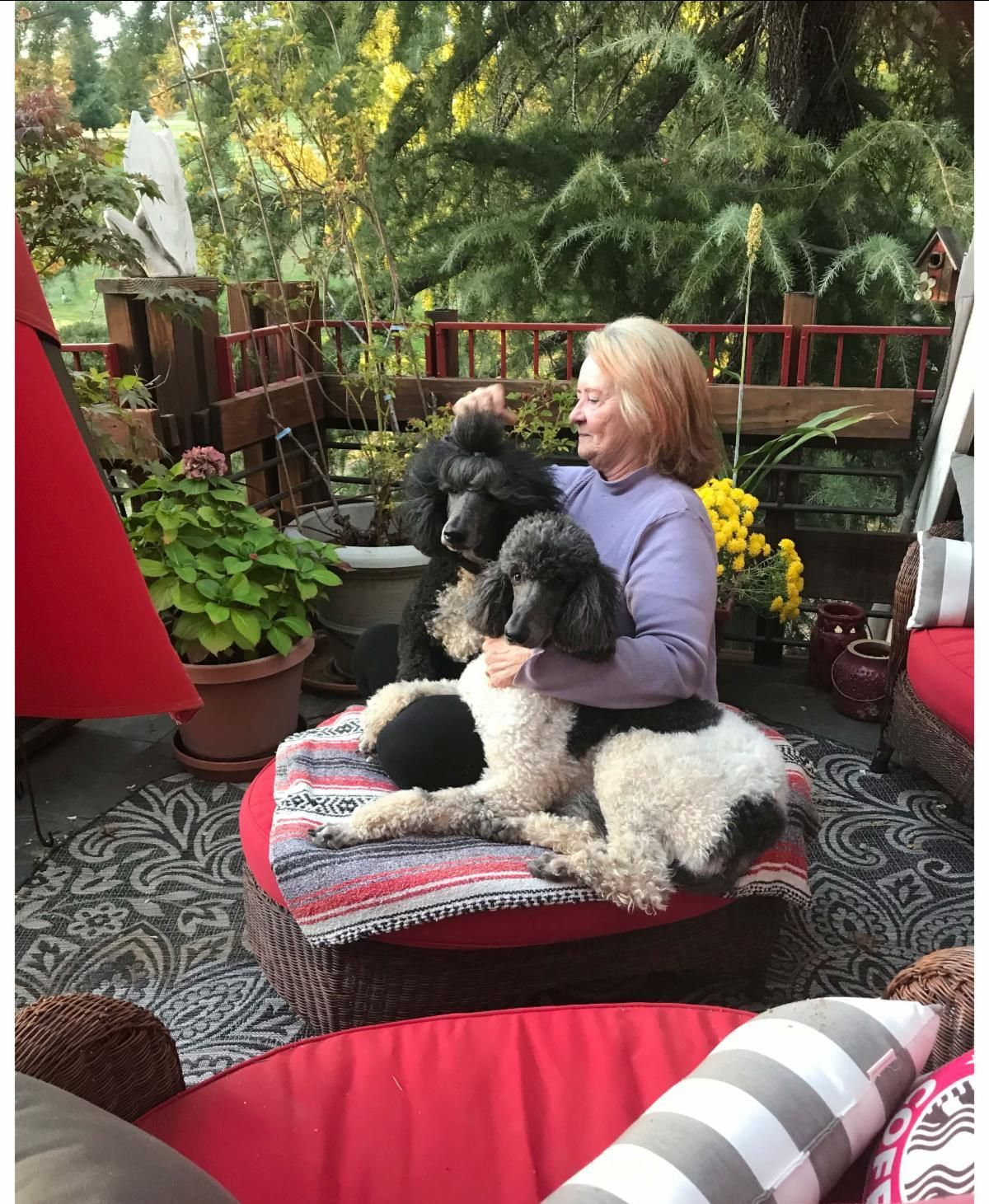 Patricia Summers Epp | Yosemite Chamber