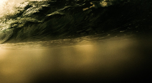 Seventeen | Zack Harris