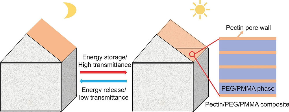 Variable-transmittance bio-based phase change composites based on the ...