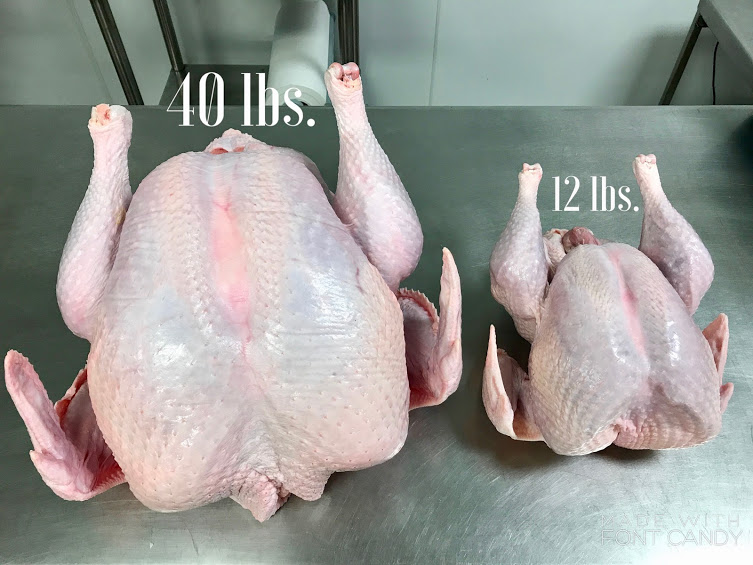 Our Meat Products | Bolton's Farm Market