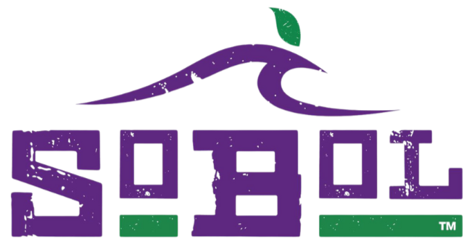 Lasky Architect | SoBol