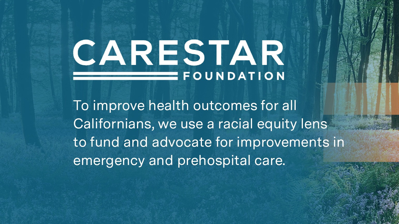 CARESTAR Foundation - Transformations & Innovations Grants Program