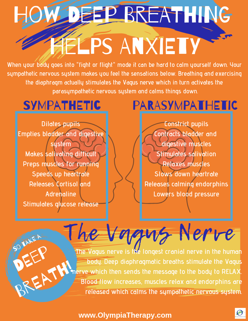 Breath science infographic - polfairport