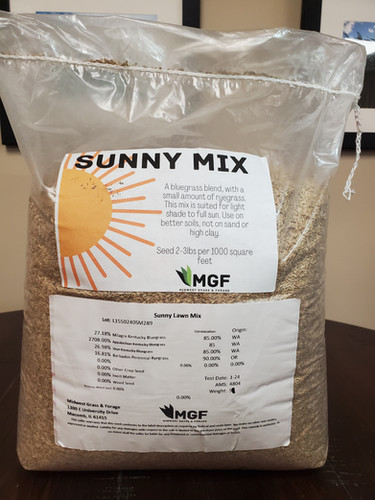 Sunny Mix | Midwest Grass