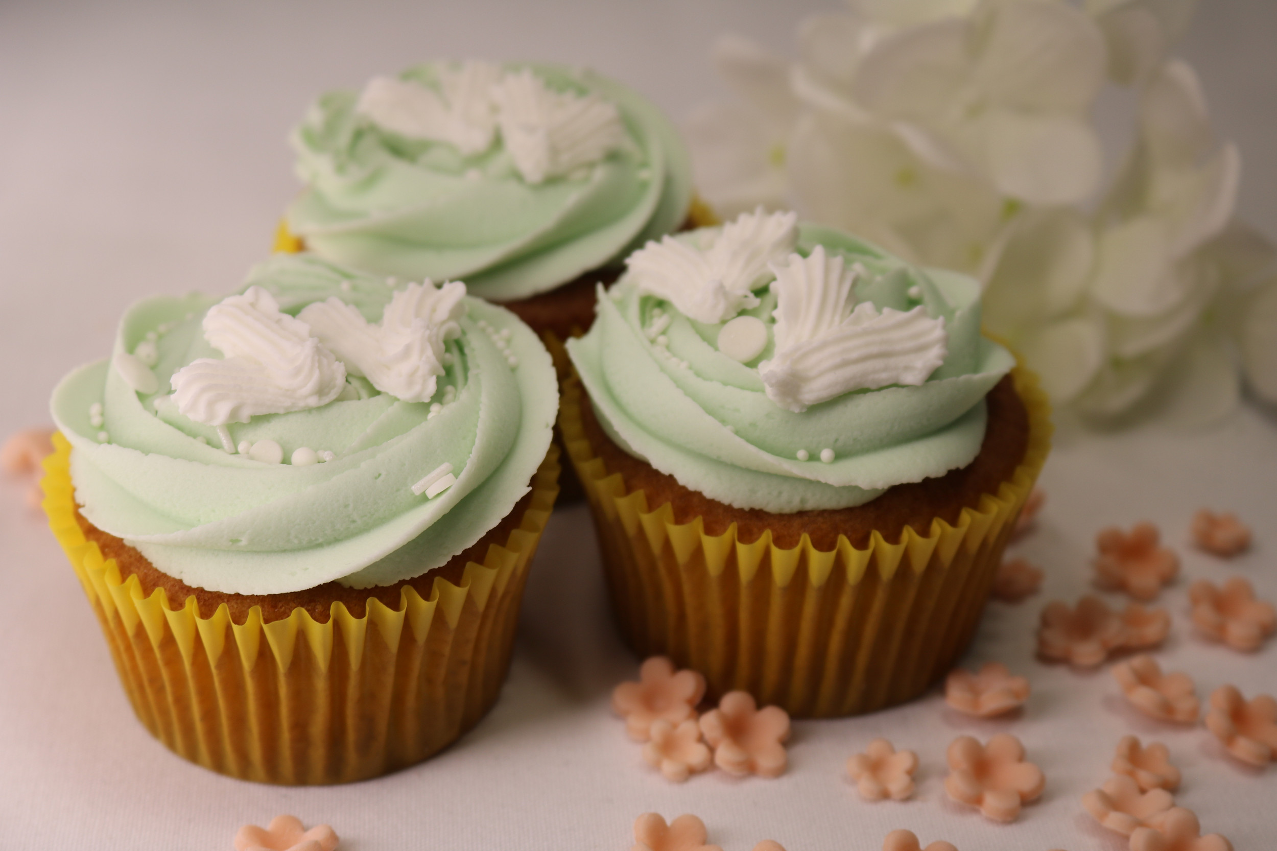 About | Valencia Cakes