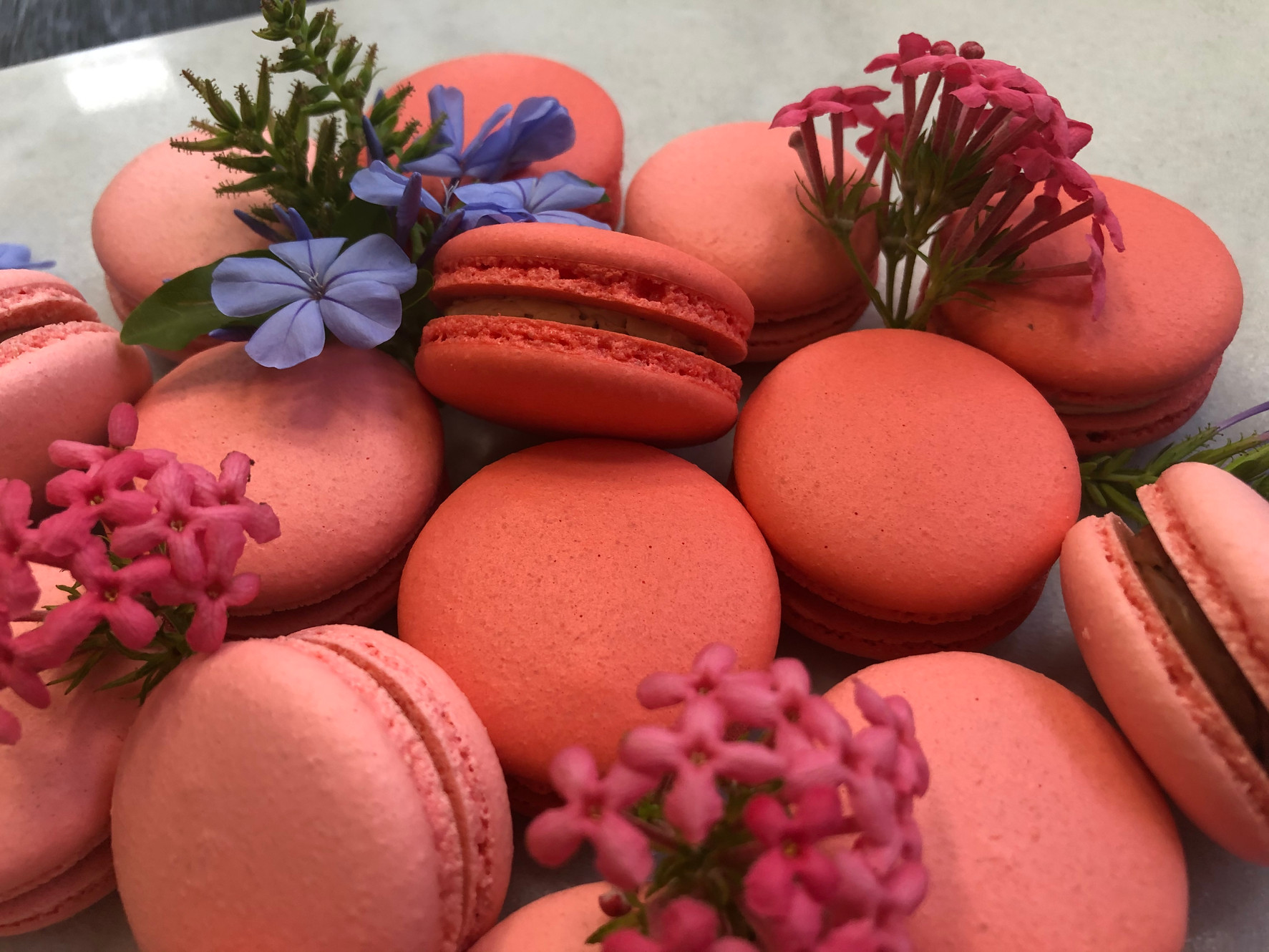 THEME MACARONS | THECOLORARTMACARONS