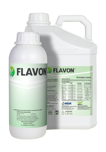 FLAVON | Science