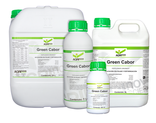 GREEN CABOR | Science
