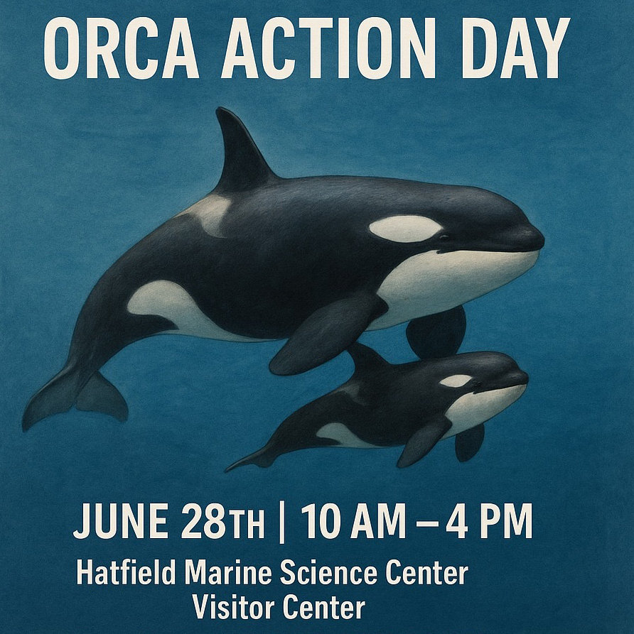 Orca Action Day 2025 | Discover Newport