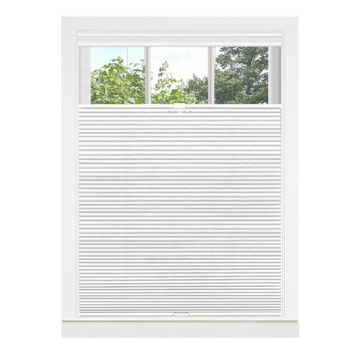 Top Down-Bottom Up Cordless Honeycomb Cellular Shade | Achim Home Decor