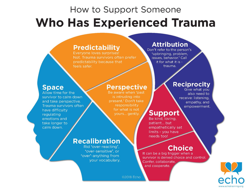 Sexual Assault Victim Advocacy Schooling SAVAS sexual-assault-victim-advocacy-schooling-savas