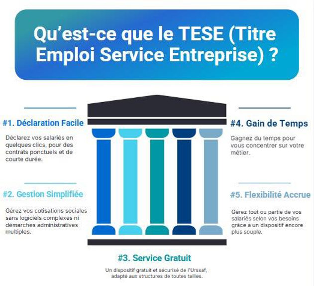 Mise en place du TESE