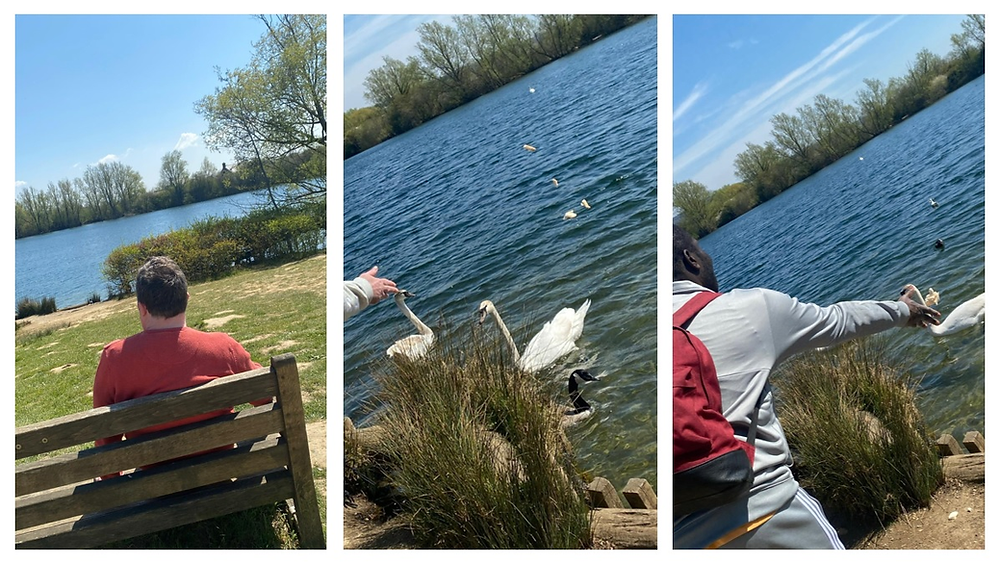 Trip to Leybourne Lakes Country Park....